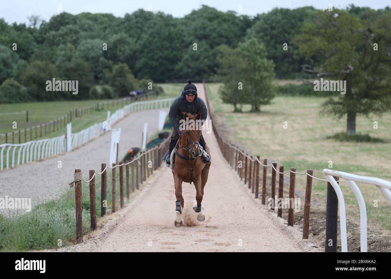 Granery farm gallops hi-res stock photography and images - Alamy