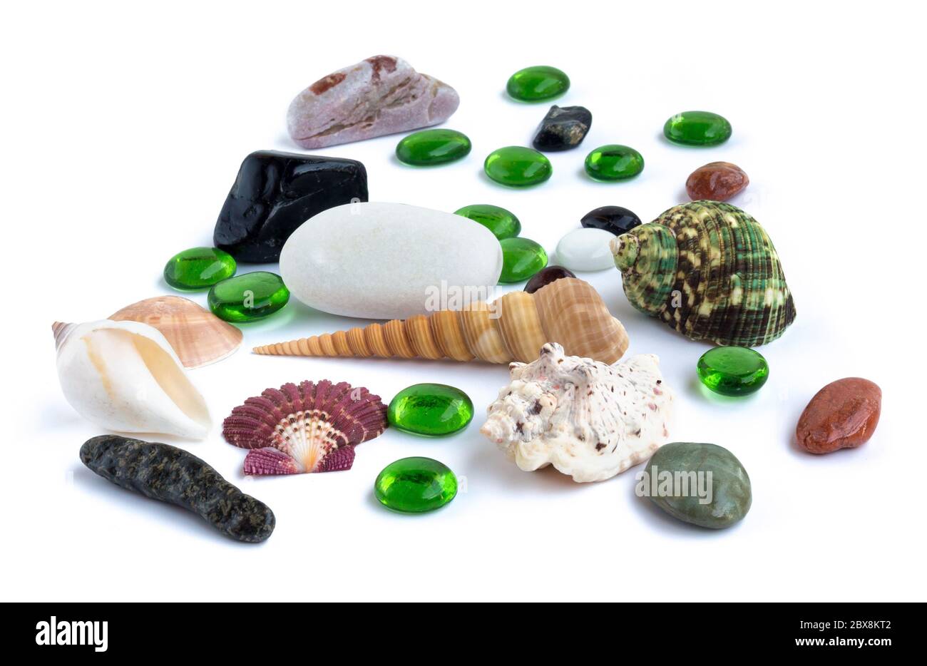 Clam pearl sea life Cut Out Stock Images & Pictures - Alamy