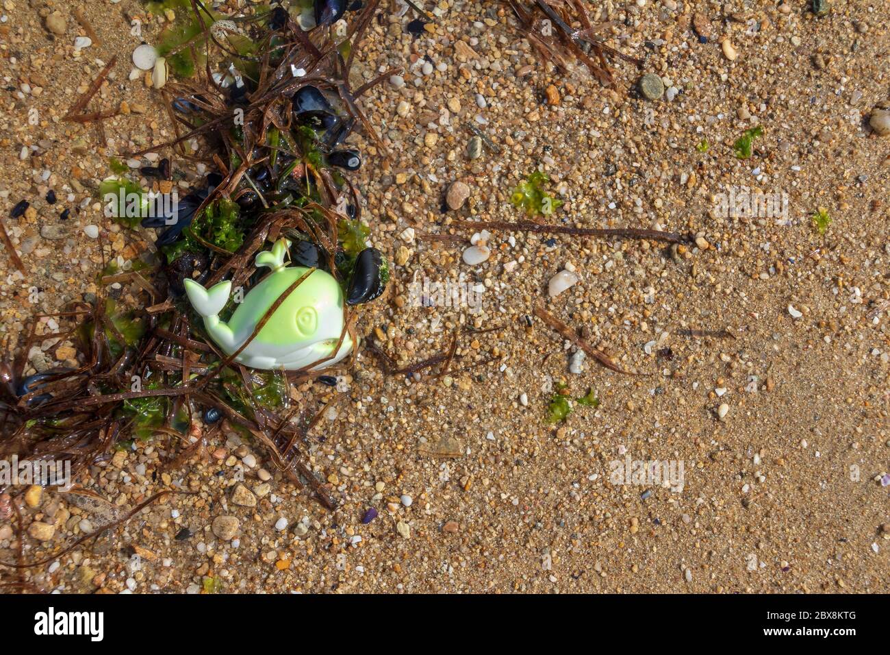 Plastic fish on beach sand, sea pollution 1 Stock Photo - Alamy
