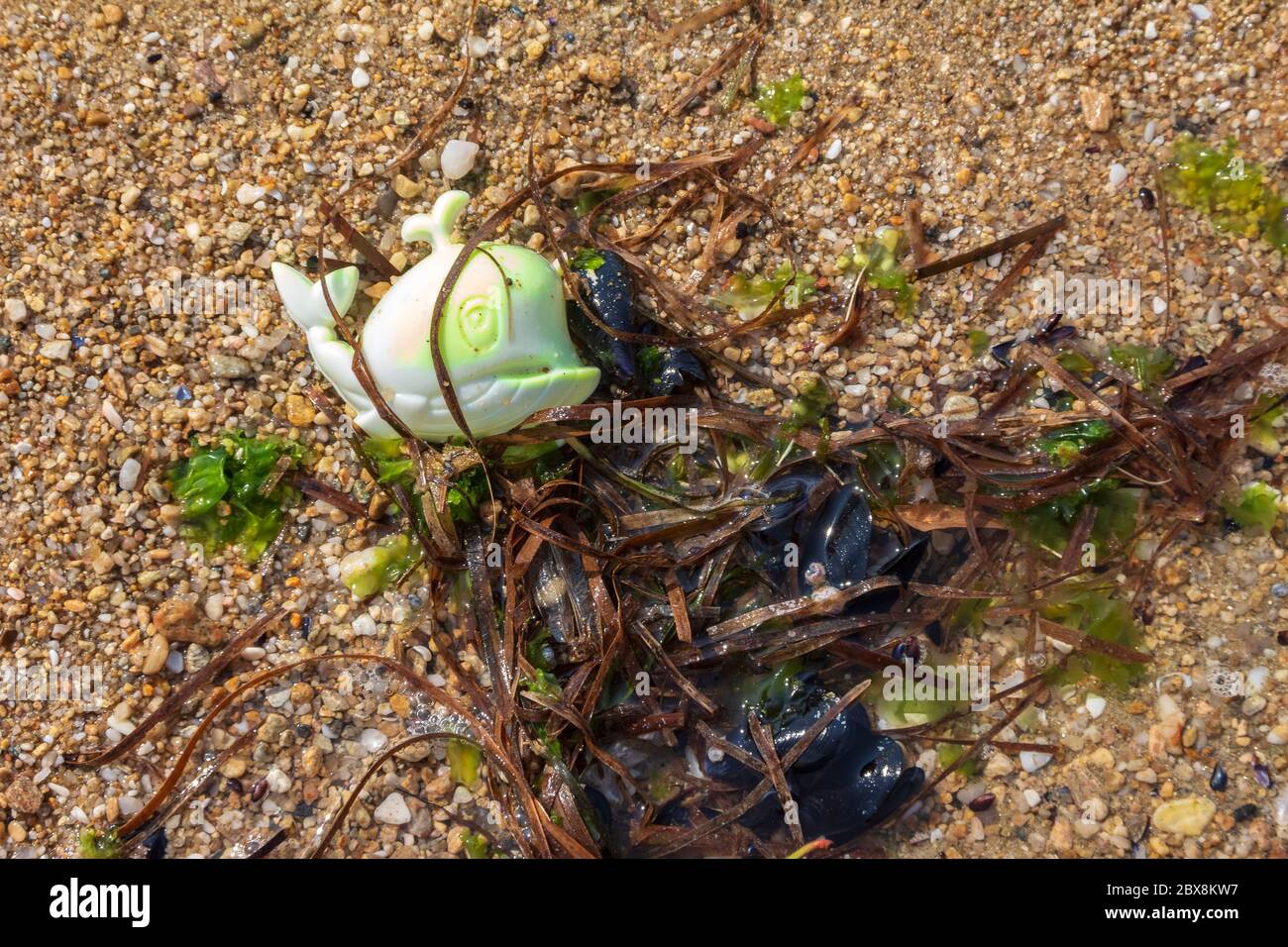Plastic pollution environmental damage wild hi-res stock photography ...