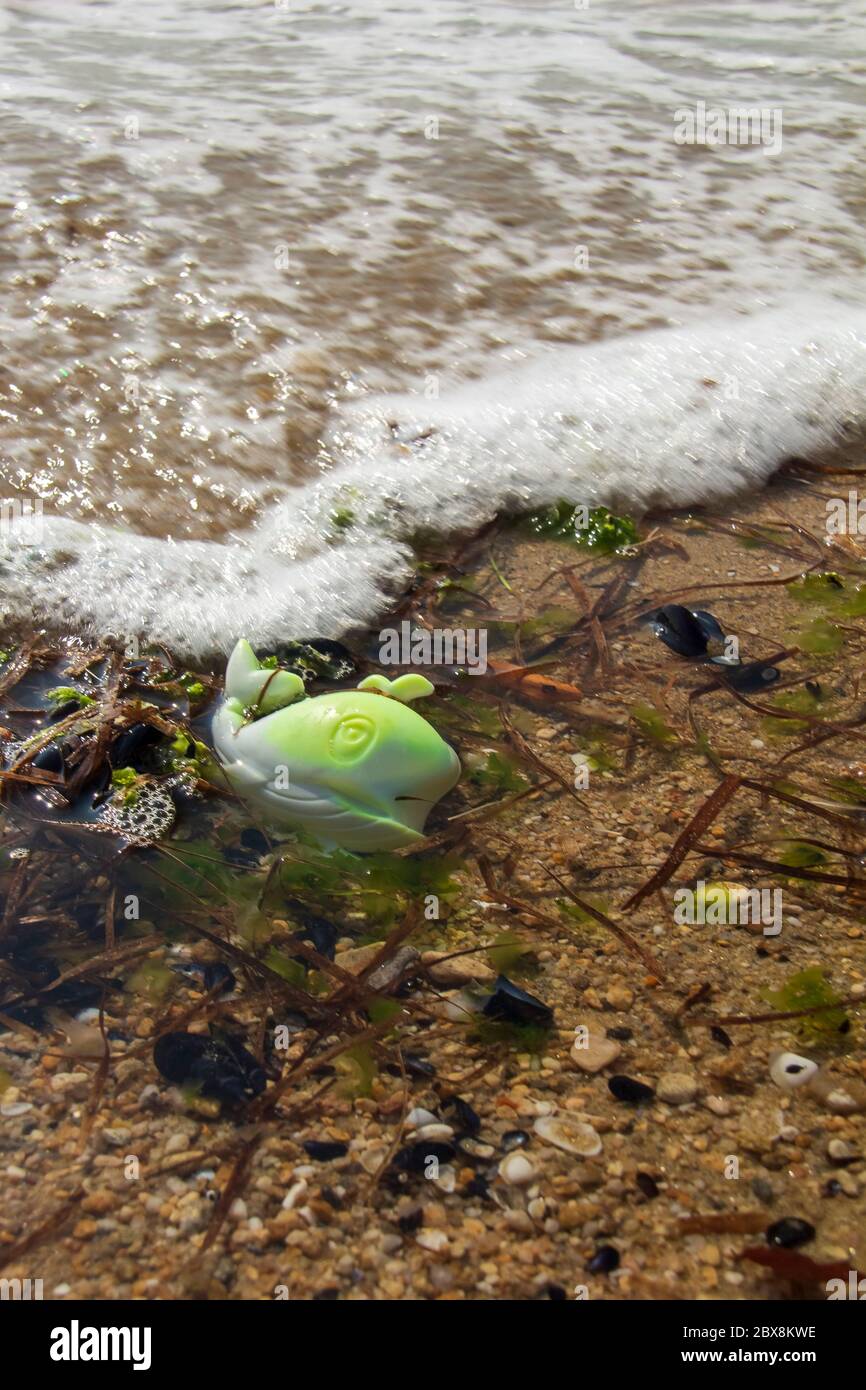 Plastic pollution ocean fish hi-res stock photography and images - Alamy