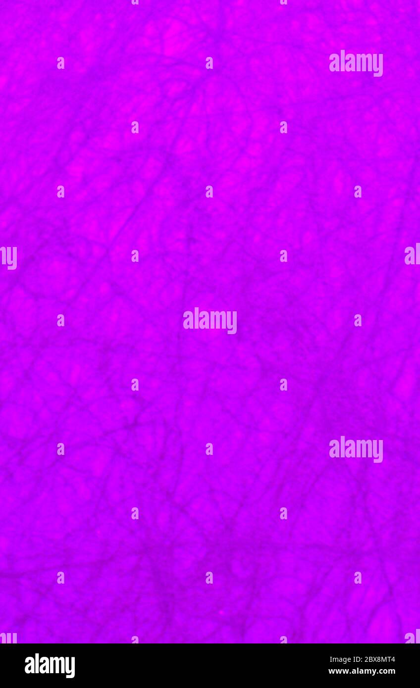 mauve background texture BACKDROP for graphic design AND WEB DESIGN ...