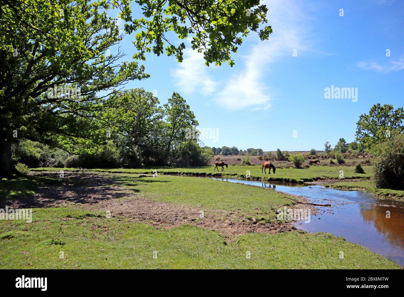 Mill lawn brook hi-res stock photography and images - Alamy