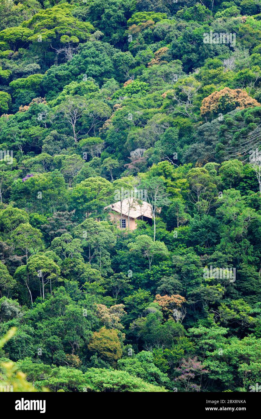 Rainforest house hi-res stock photography and images - Alamy