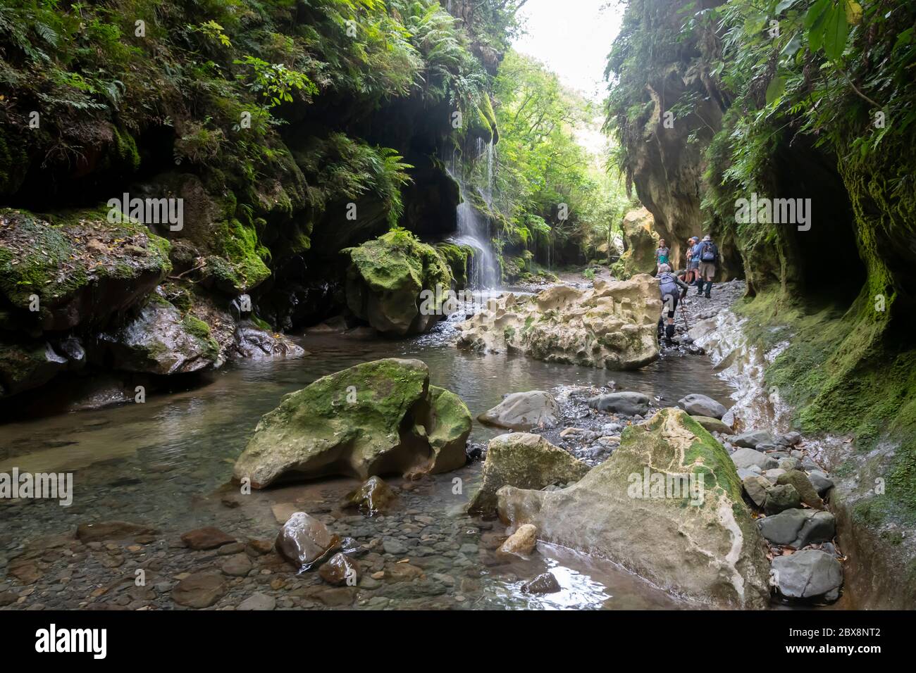People walking along stream in limestone gorge, Patuna Chasm, Wairarapa ...