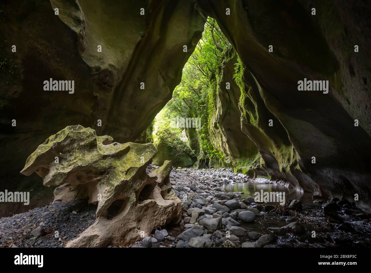 Gorge Formation