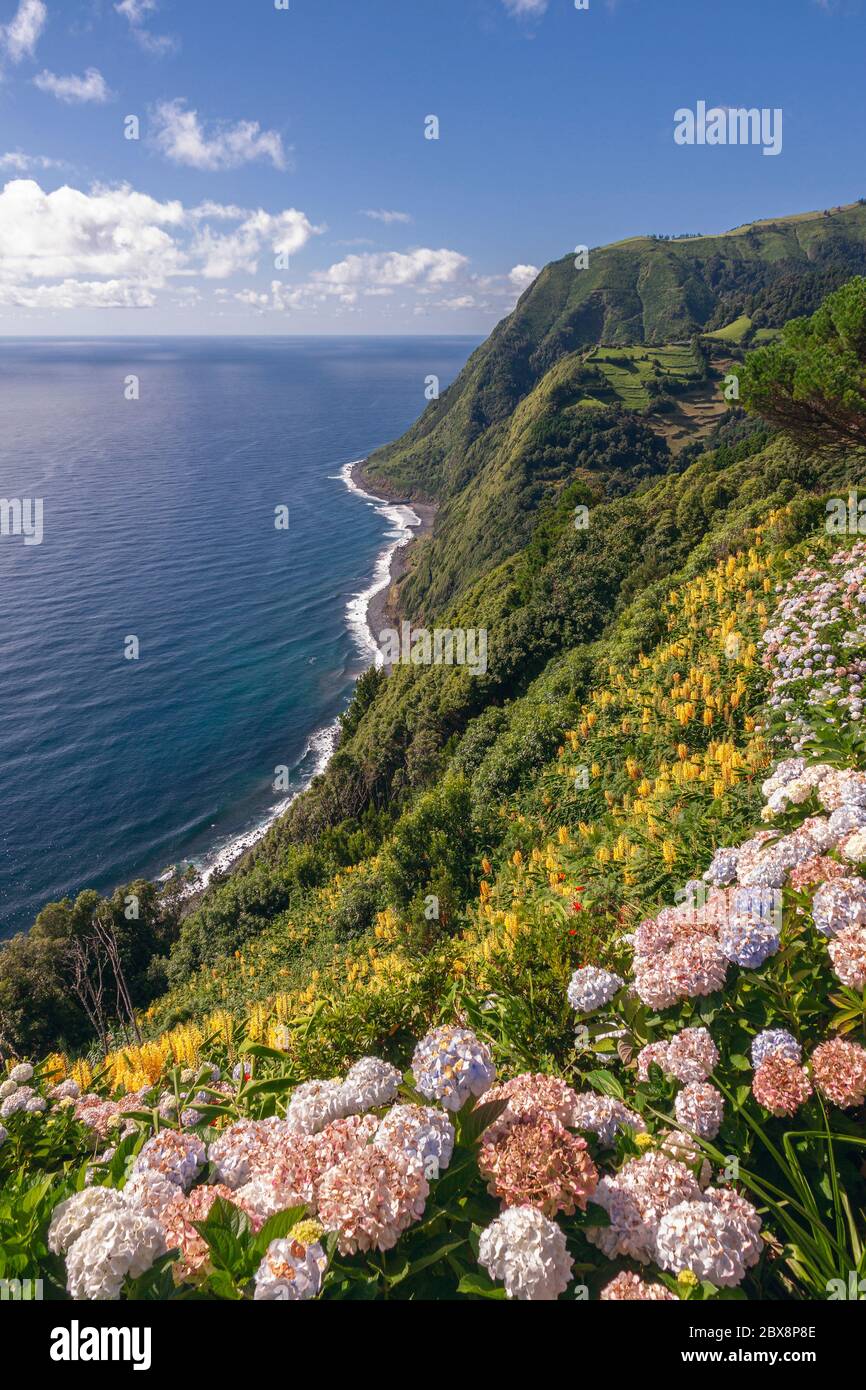 Azores islands flora hi-res stock photography and images - Alamy