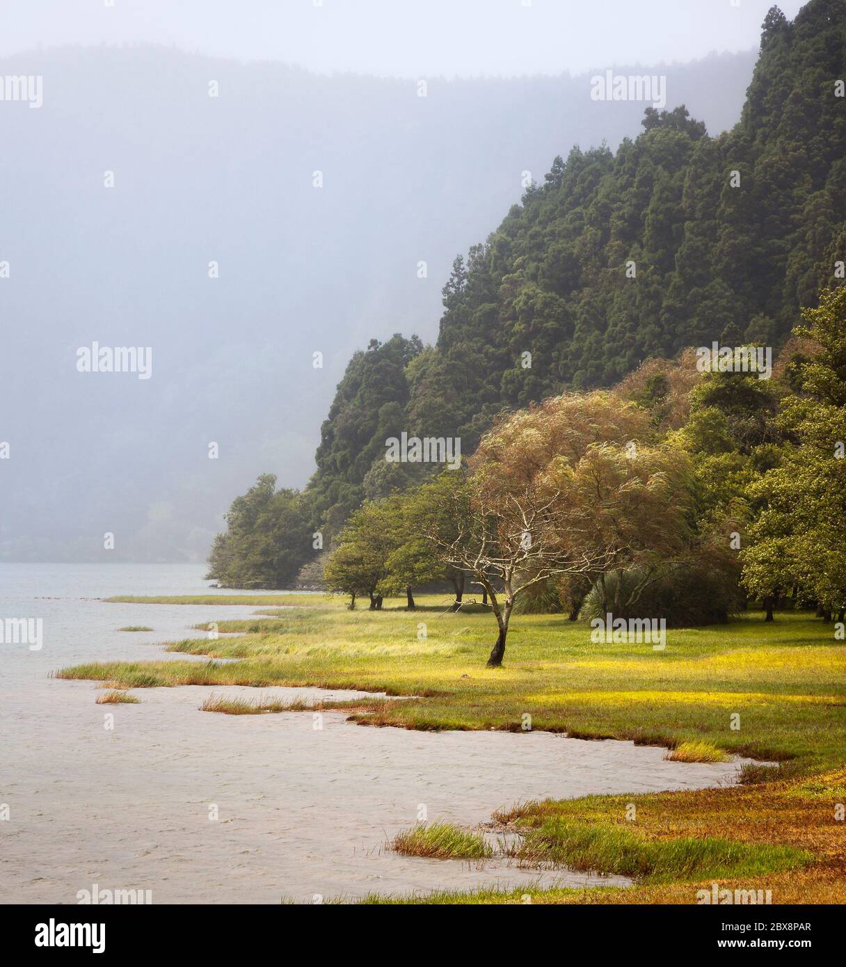 Furnas Lake in Sao Miguel, Azores Islands Stock Photo - Alamy