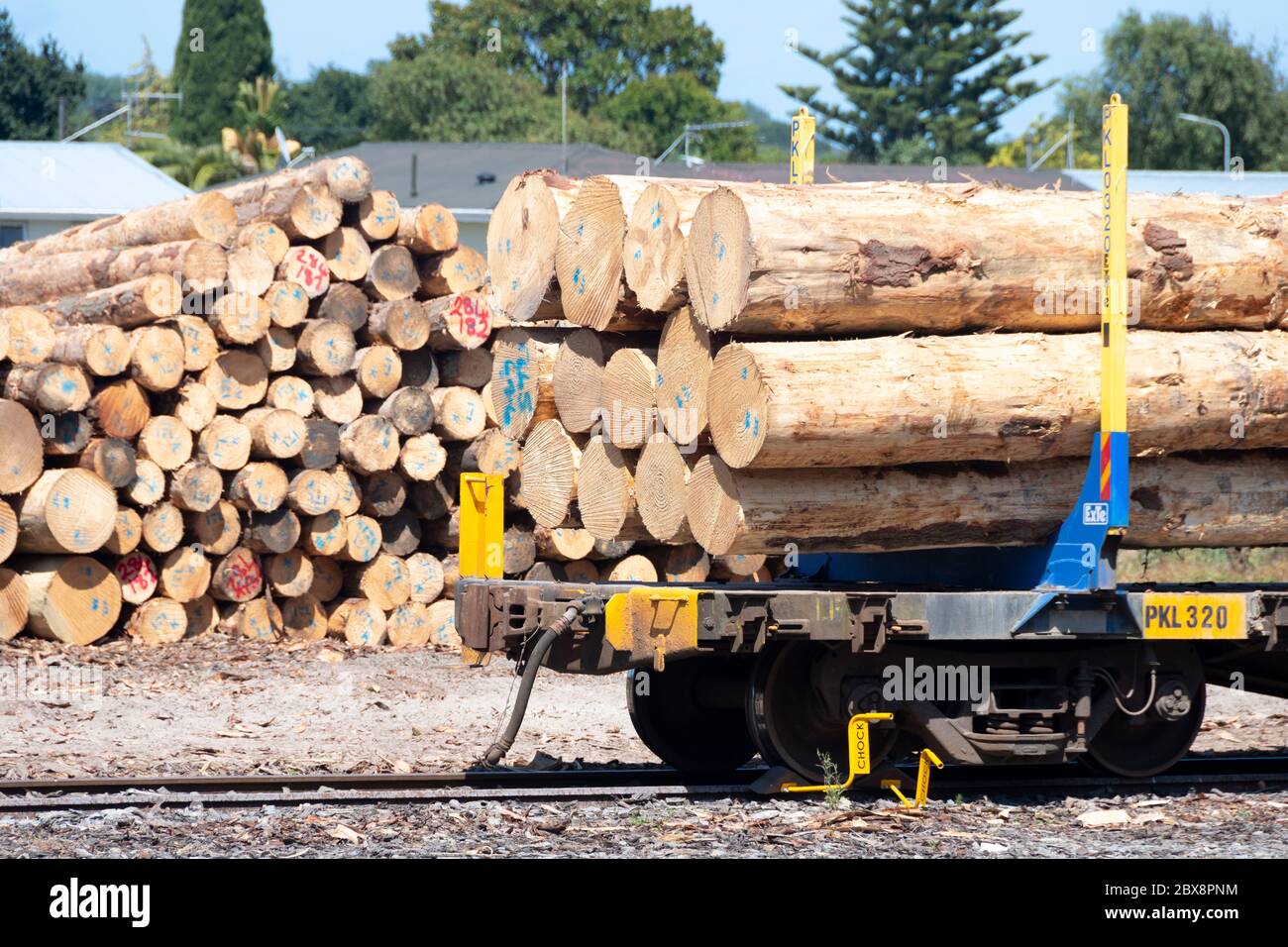 Logs loaded on railway wagons, Whanganui, North Island, New Zealand ...