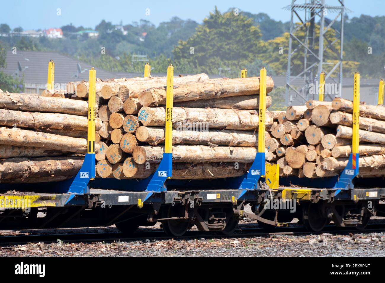 Logs loaded on railway wagons, Whanganui, North Island, New Zealand ...
