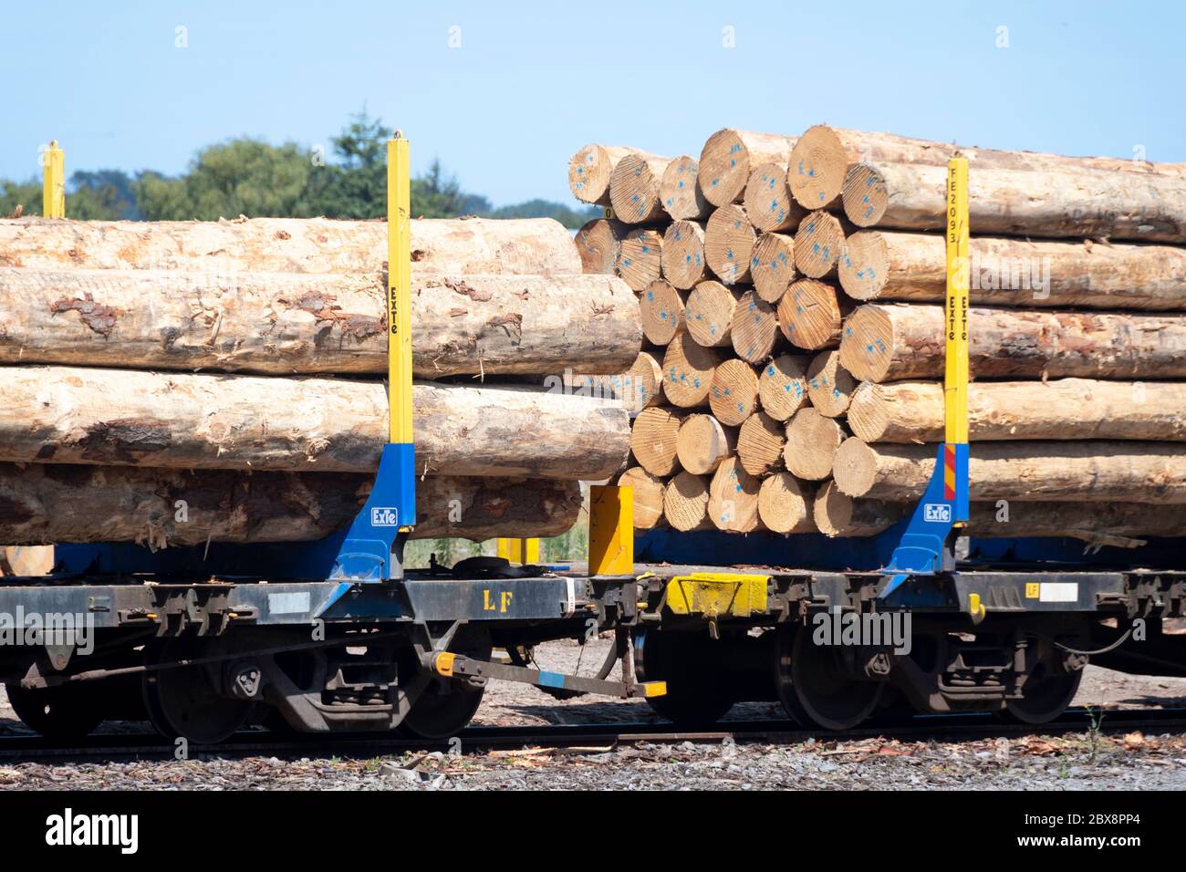 Logs loaded on railway wagons, Whanganui, North Island, New Zealand ...