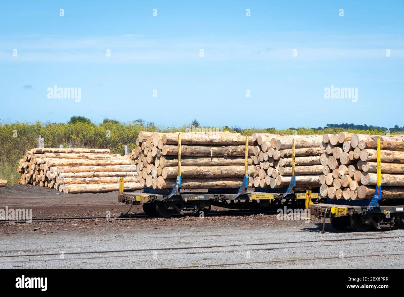 Logs loaded on railway wagons, Whanganui, North Island, New Zealand ...