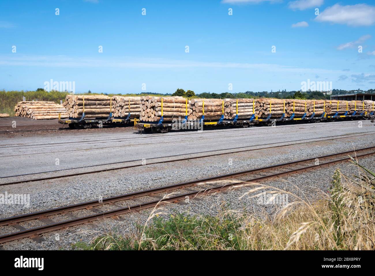 Logs loaded on railway wagons, Whanganui, North Island, New Zealand ...