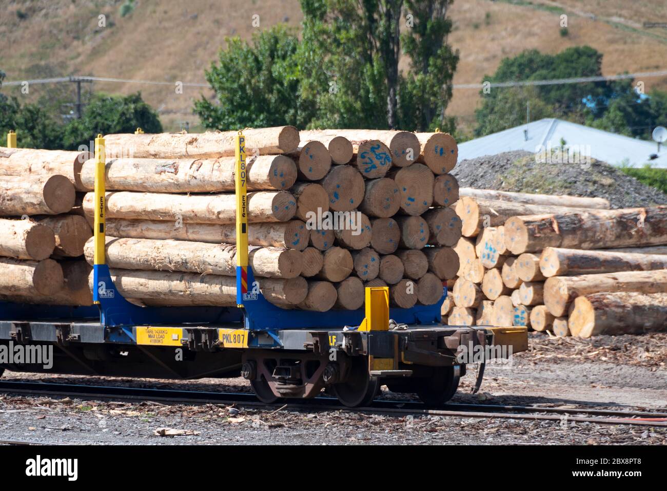 Logs loaded on railway wagons, Whanganui, North Island, New Zealand ...