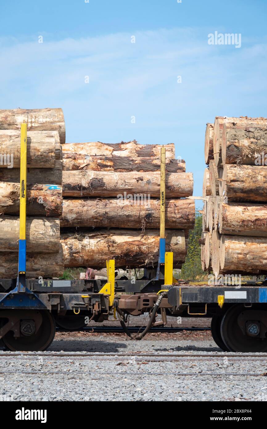 Logs train hi-res stock photography and images - Alamy