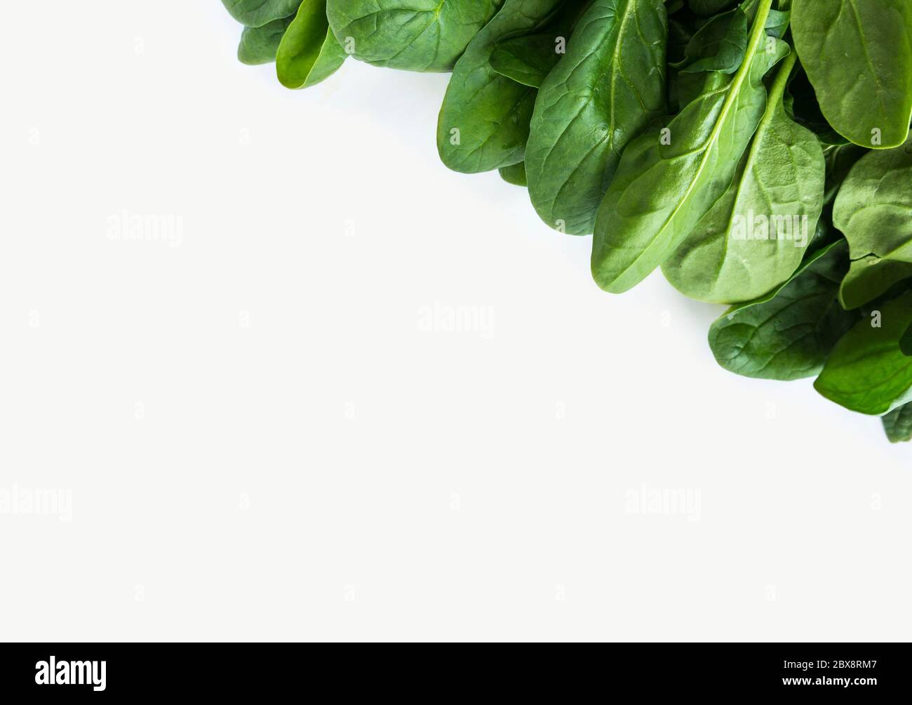 Green spinach at border of image with copy space for text. Top view ...