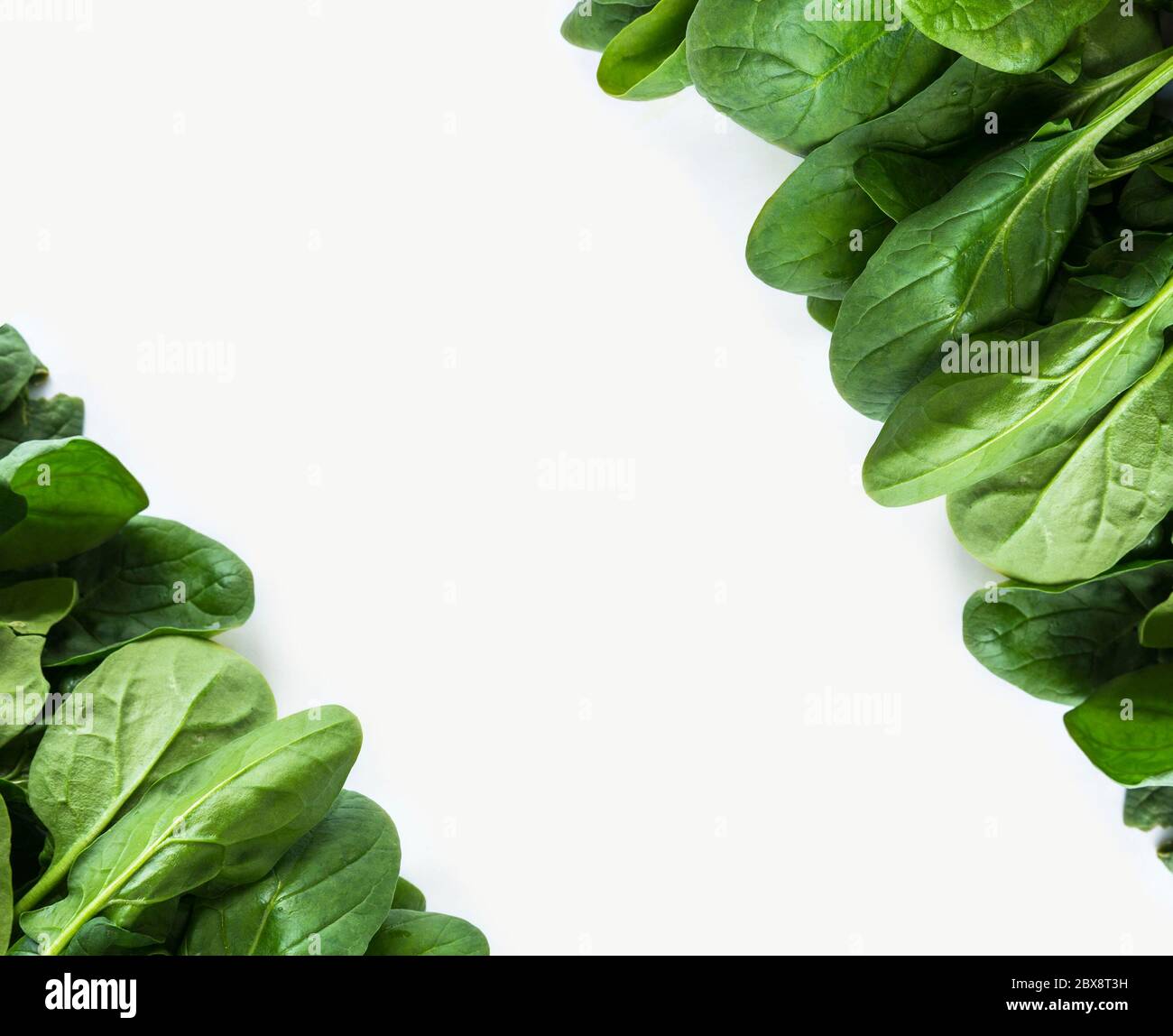 Green spinach at border of image with copy space for text. Top view ...