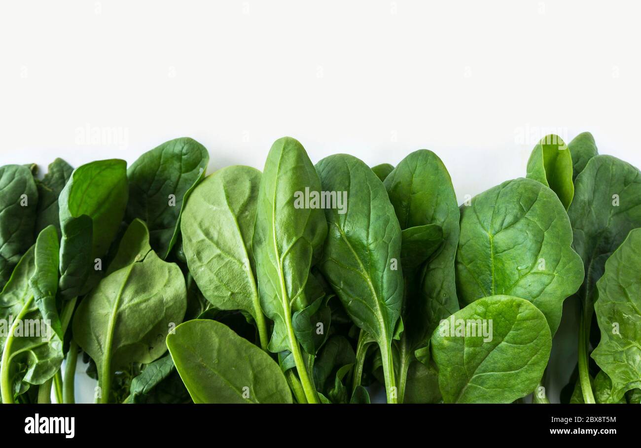 Green spinach at border of image with copy space for text. Top view ...