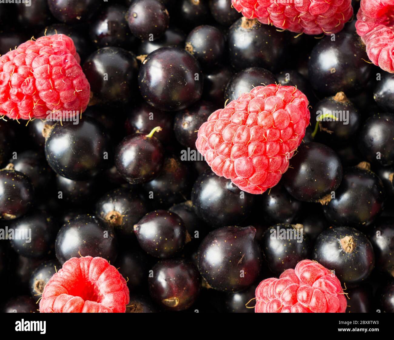 Ripe blackcurrants and raspberries. Mix berries. Top view. Background ...