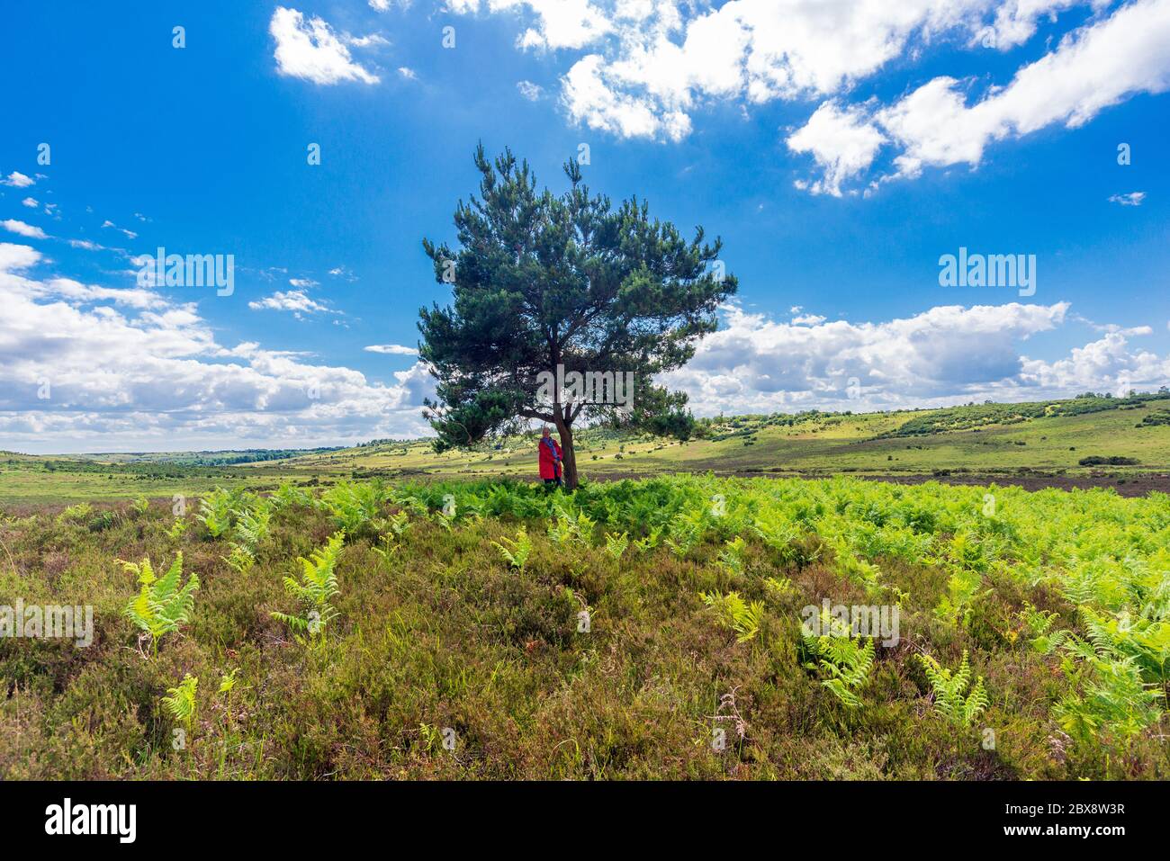 Open landscape hi-res stock photography and images - Alamy