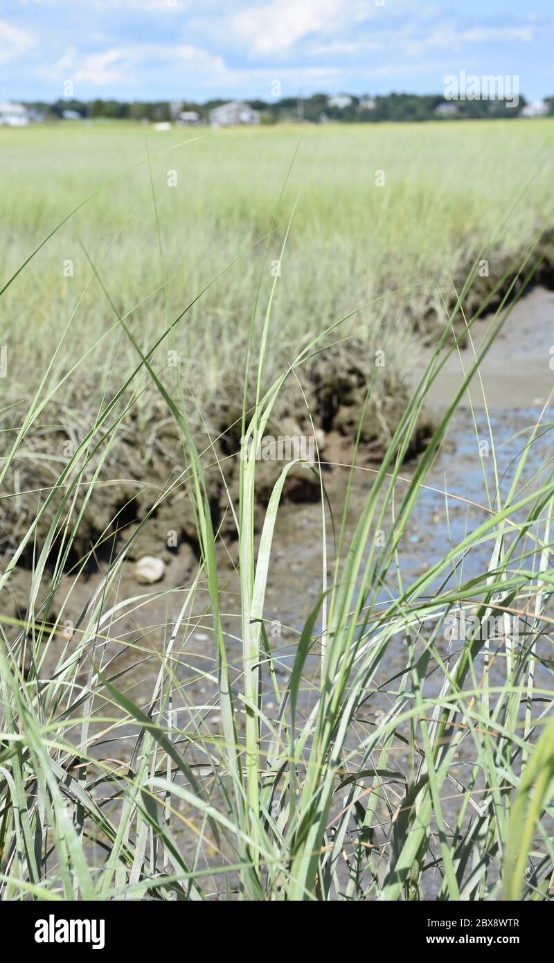 Tidal Ways High Resolution Stock Photography and Images - Alamy