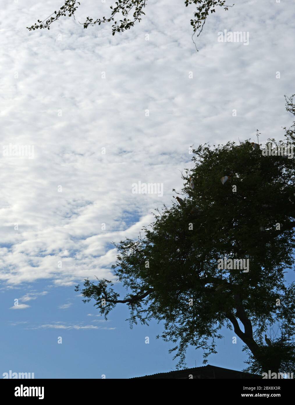 World map green press hi-res stock photography and images - Alamy