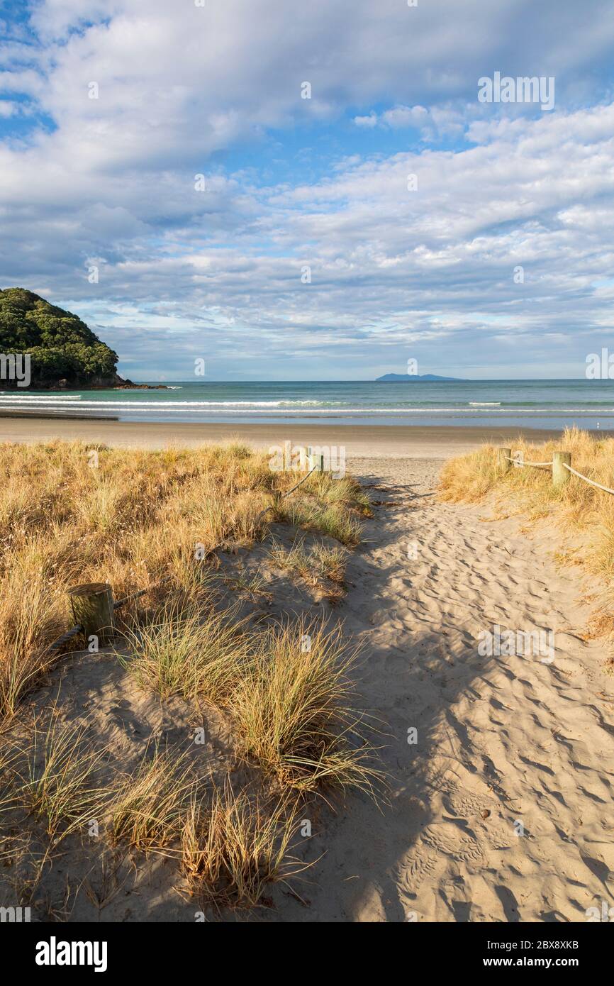 Tuhua waihi new zealand hi-res stock photography and images - Alamy