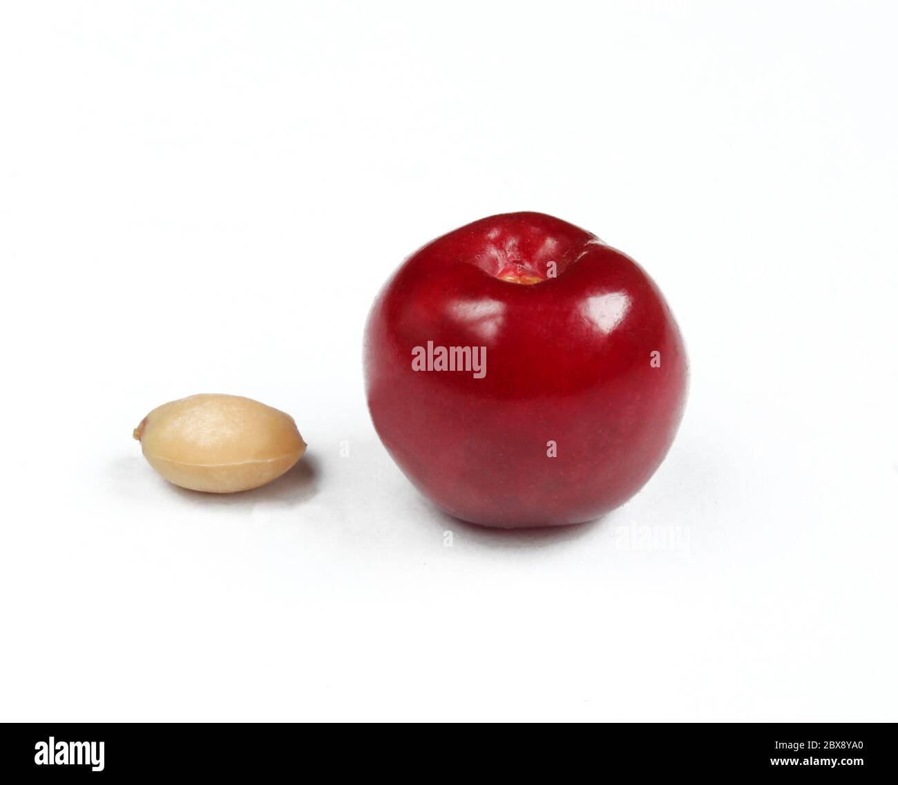 Red organic cherry and seed isolated on white background Stock Photo ...