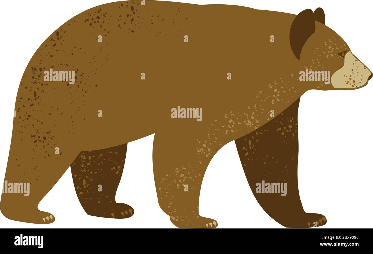 Bear. Flat vector illustration. Simple silhouettes, dots texture ...