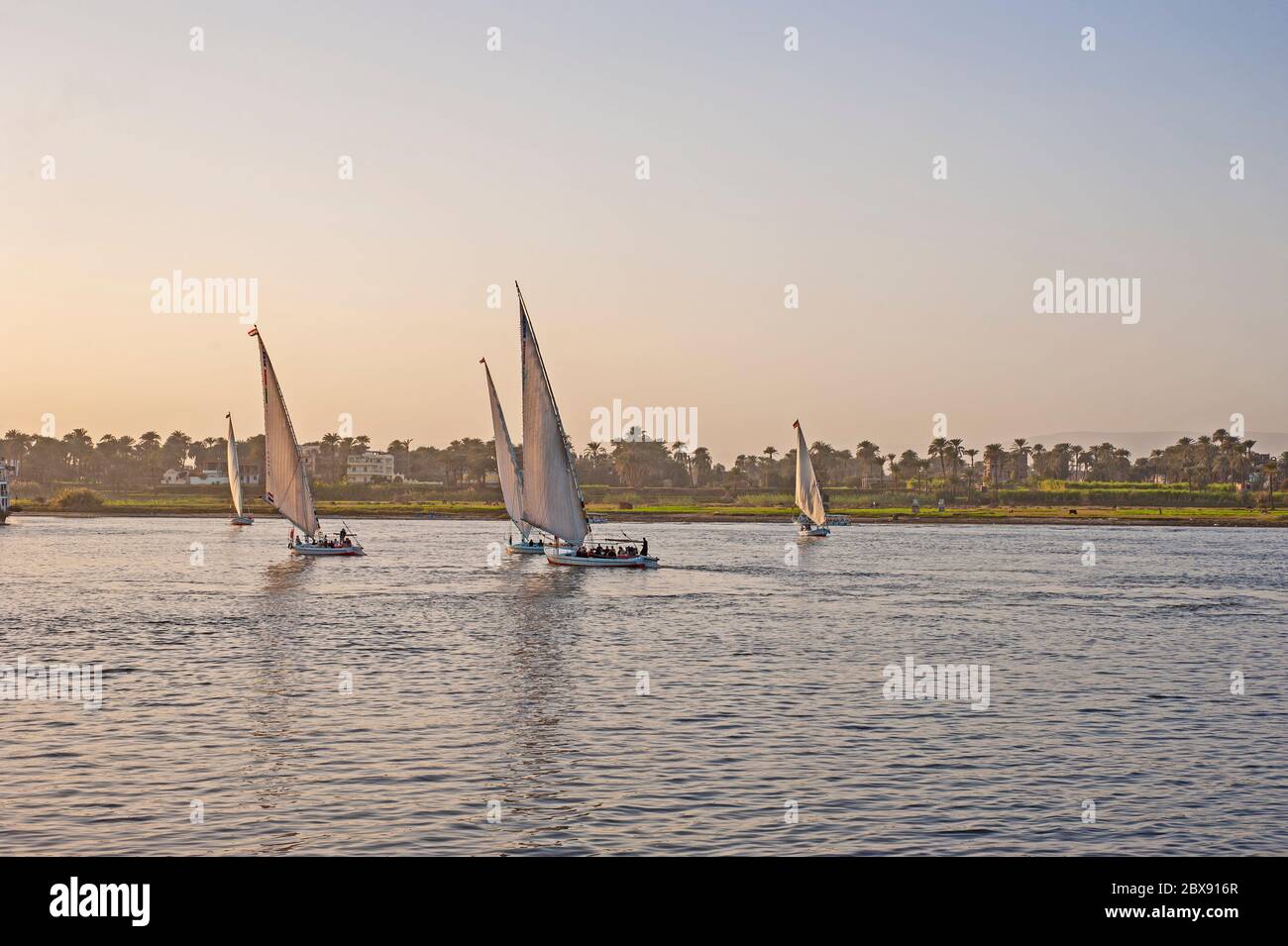 Landscape view of traditional Egyptian felluca river boats sailing on ...