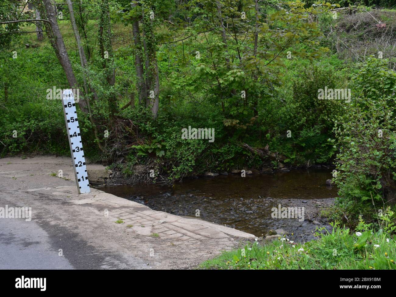 Large ruler indicating the river's depth and flooding Stock Photo - Alamy