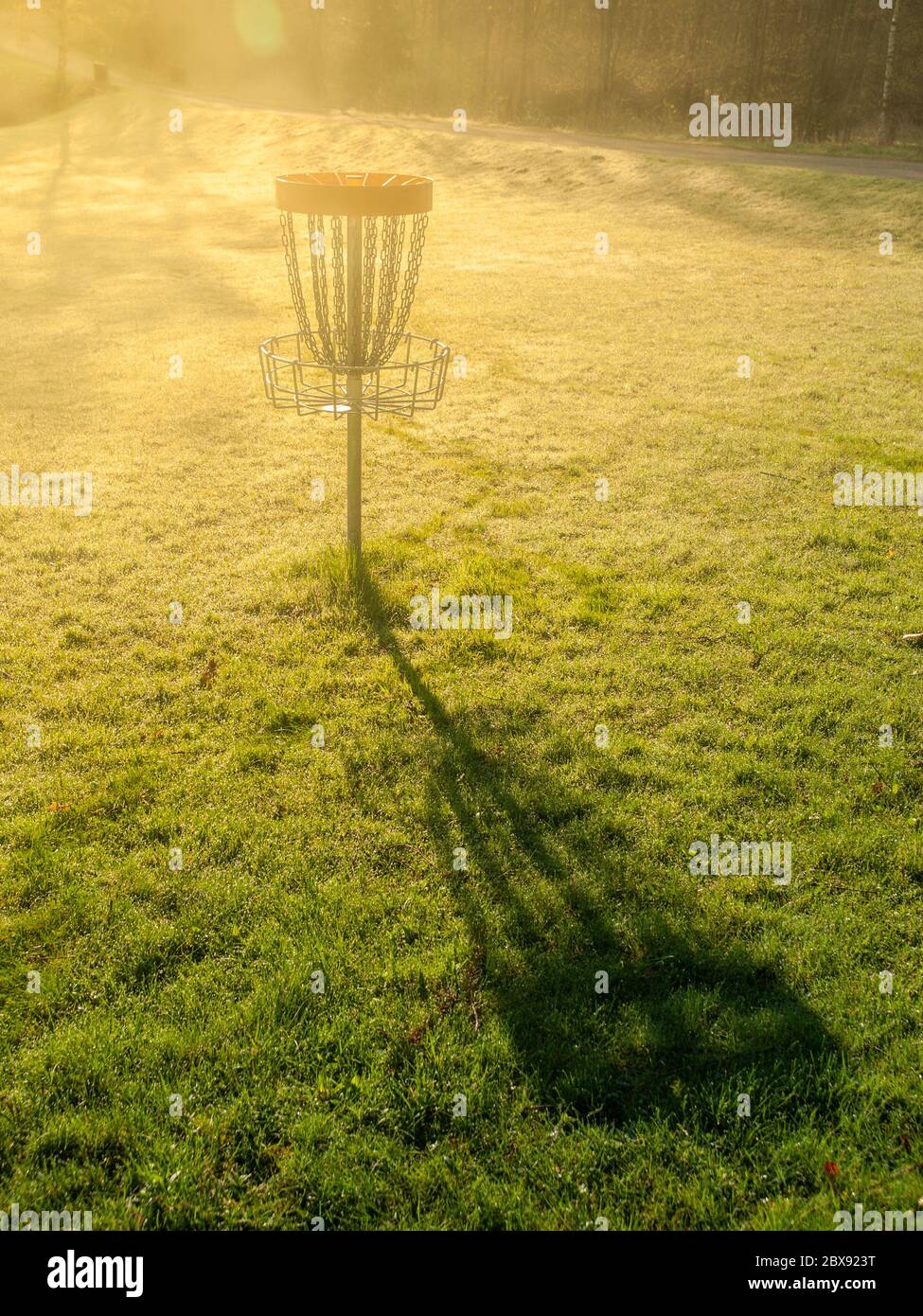 Disc Golf Basket Wallpaper