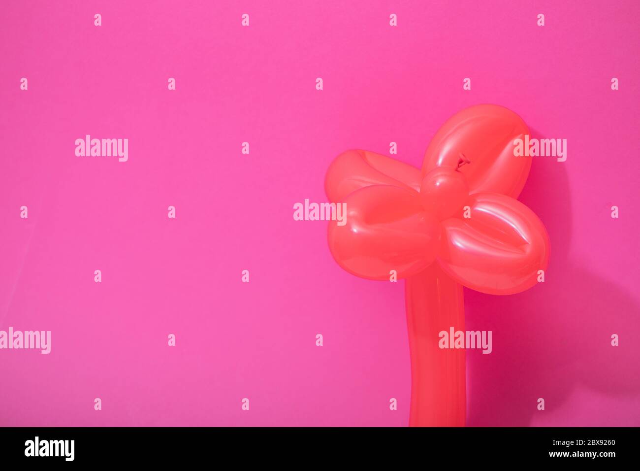 Balloons shaped in the form of a flower over a pink background ...