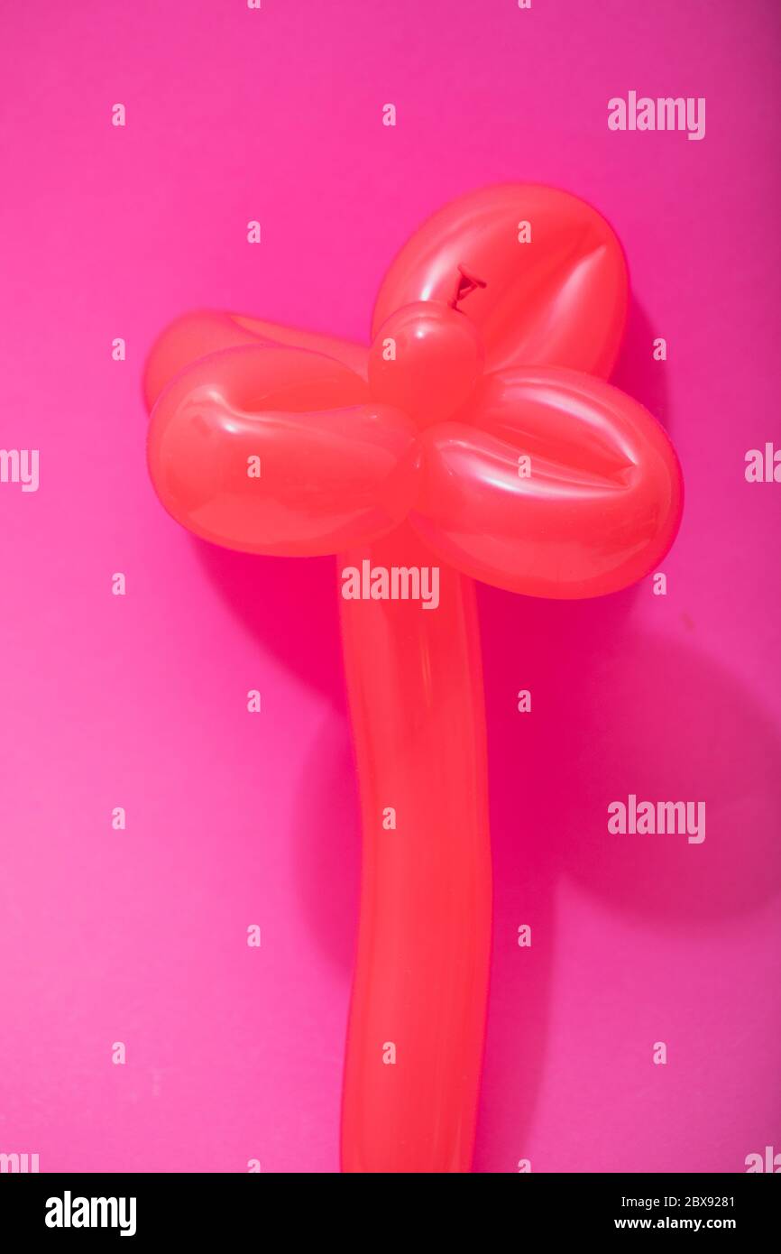 Balloons shaped in the form of a flower over a pink background ...
