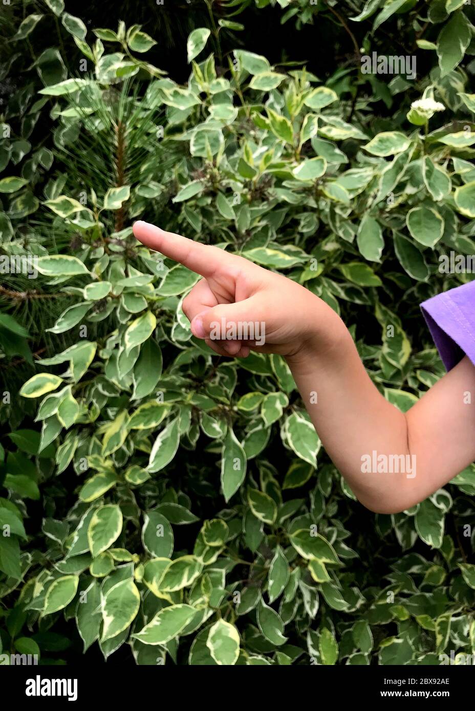 Girl pointing pistol hi-res stock photography and images - Alamy