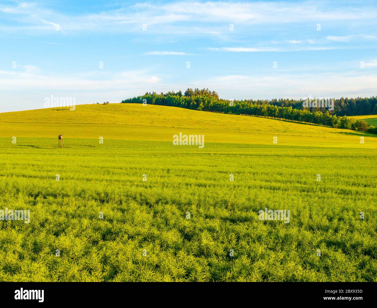 Green field panorama landscape. Panoramic view in the spring evening ...