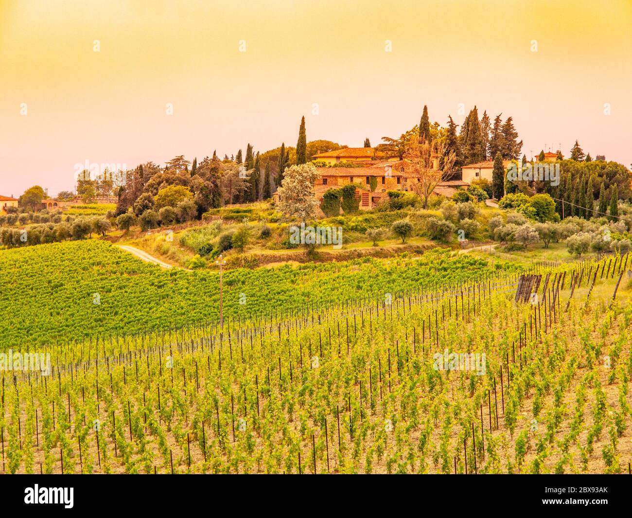 Countryside chianti italy hi-res stock photography and images - Alamy