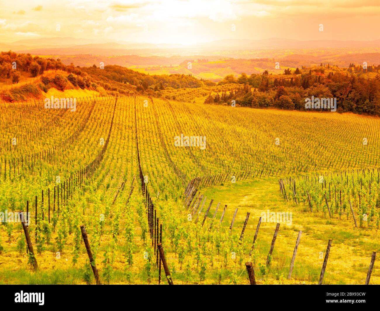 Beautiful tuscan landscape hi-res stock photography and images - Alamy