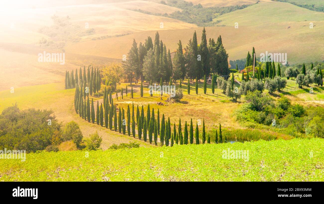 Evening in Tuscany. Hilly Tuscan landscape with cypress trees alley and ...