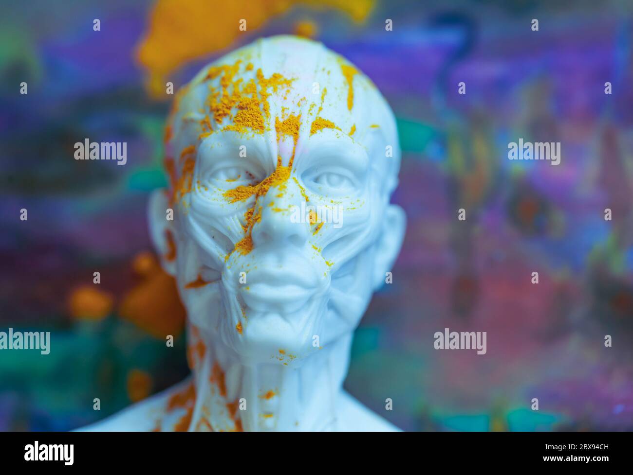 'Anatomy of Humans' Creative concepts - psychology, mind, creative ...