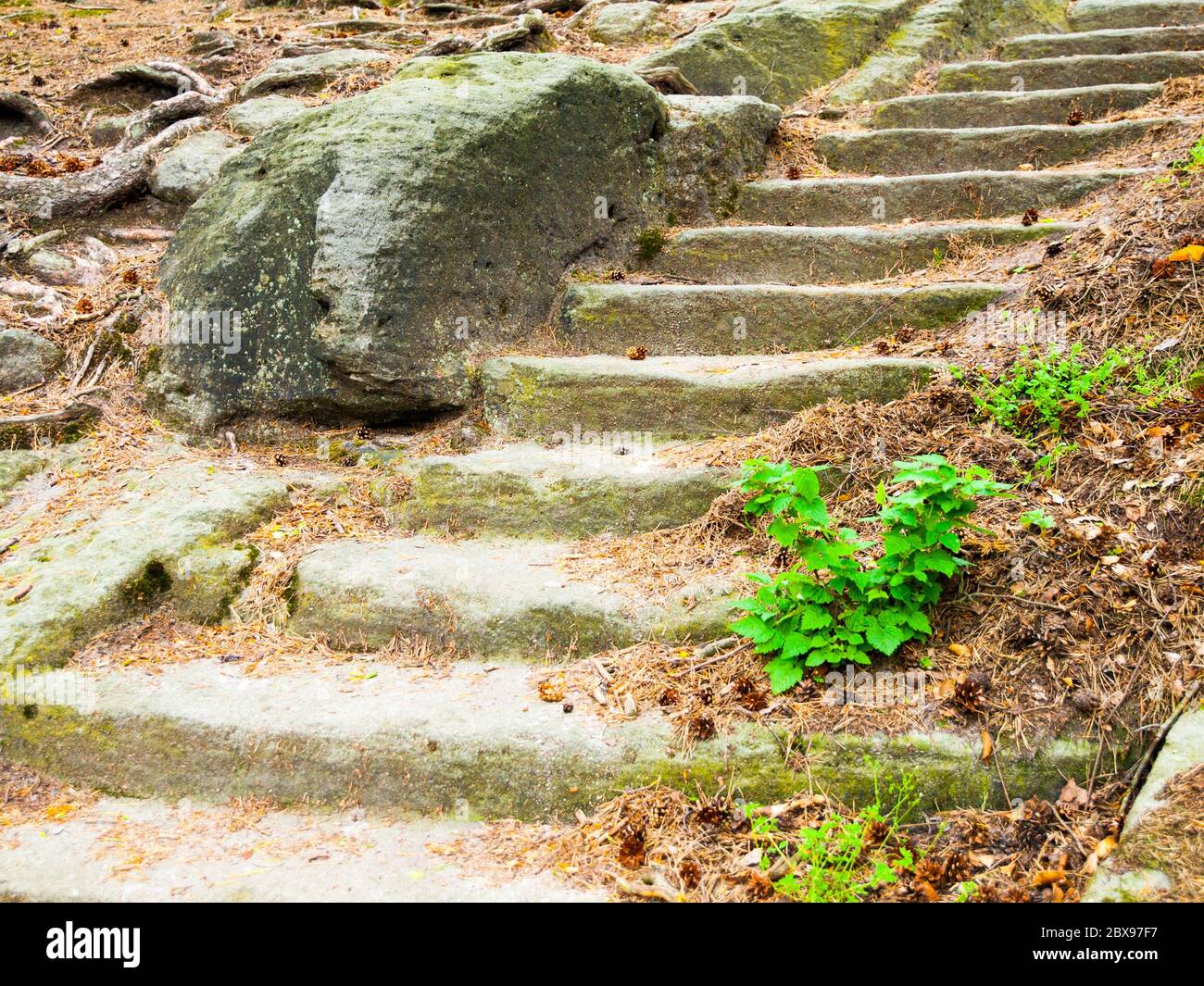 Long sandstone stairs in the forest, Kokorinsko, Czech Republic Stock ...