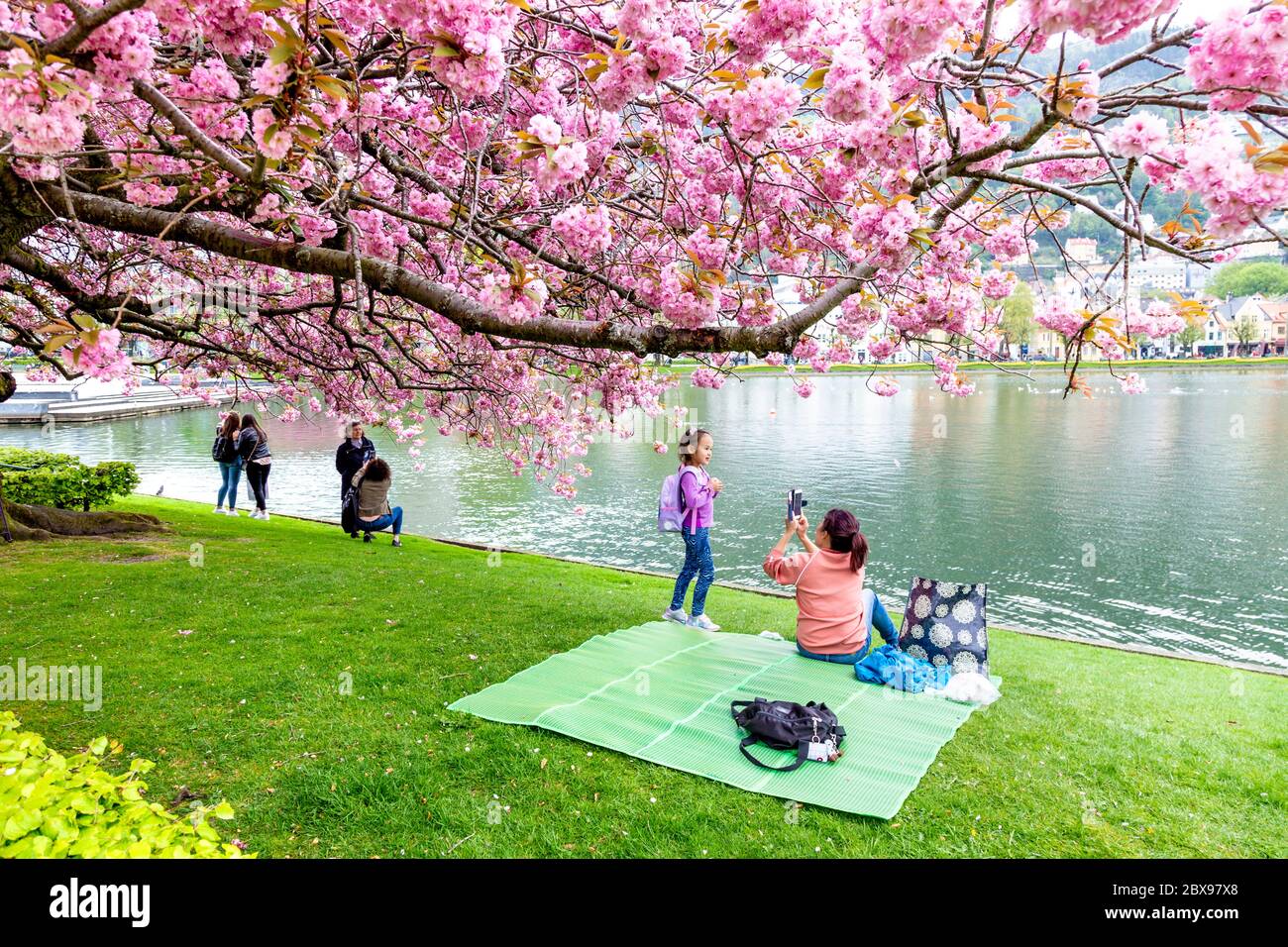 Family picnic under tree hi-res stock photography and images - Alamy