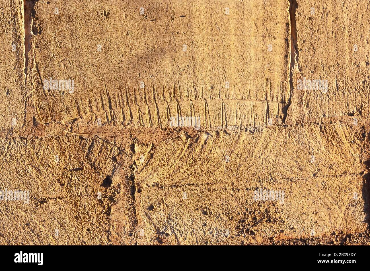 Mares stone texture with flush light at sunset. Sandstone textured ...