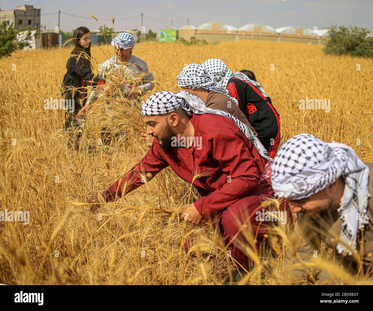 Khan Younis, The Gaza Strip, Palestine. 6th June, 2020. Palestinian ...