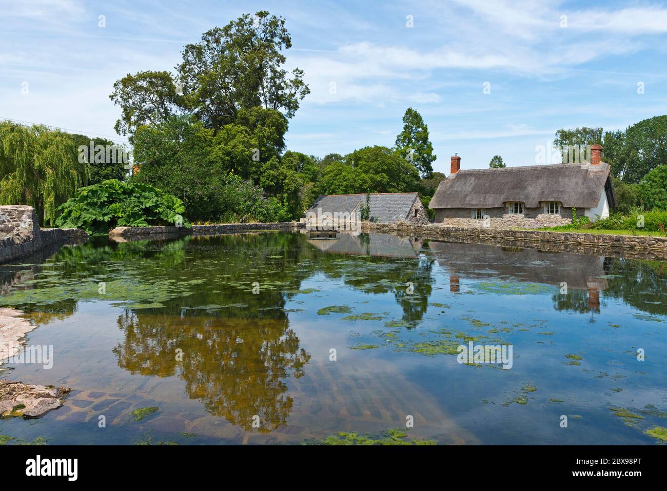 East quantoxhead village hi-res stock photography and images - Alamy