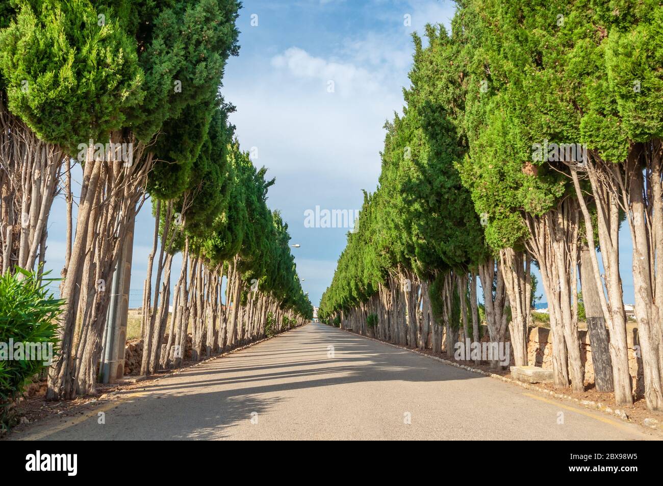 Surrounded by cypress trees hi-res stock photography and images - Alamy