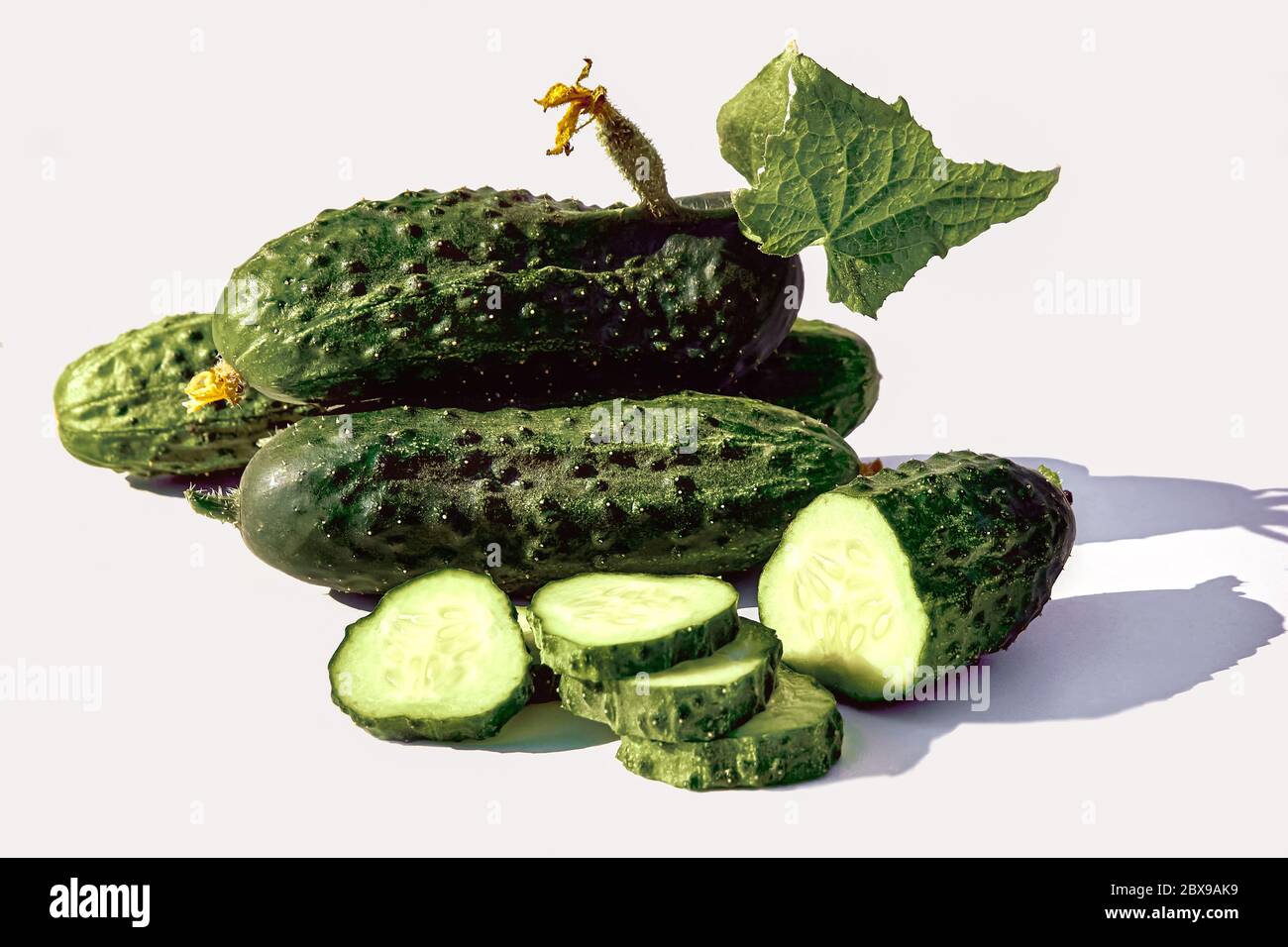 Fresh green cucumber with leaves and flowers of natural vegetables and ...