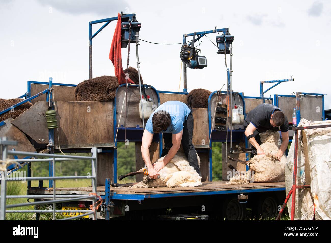 Shearing contracting hi-res stock photography and images - Alamy