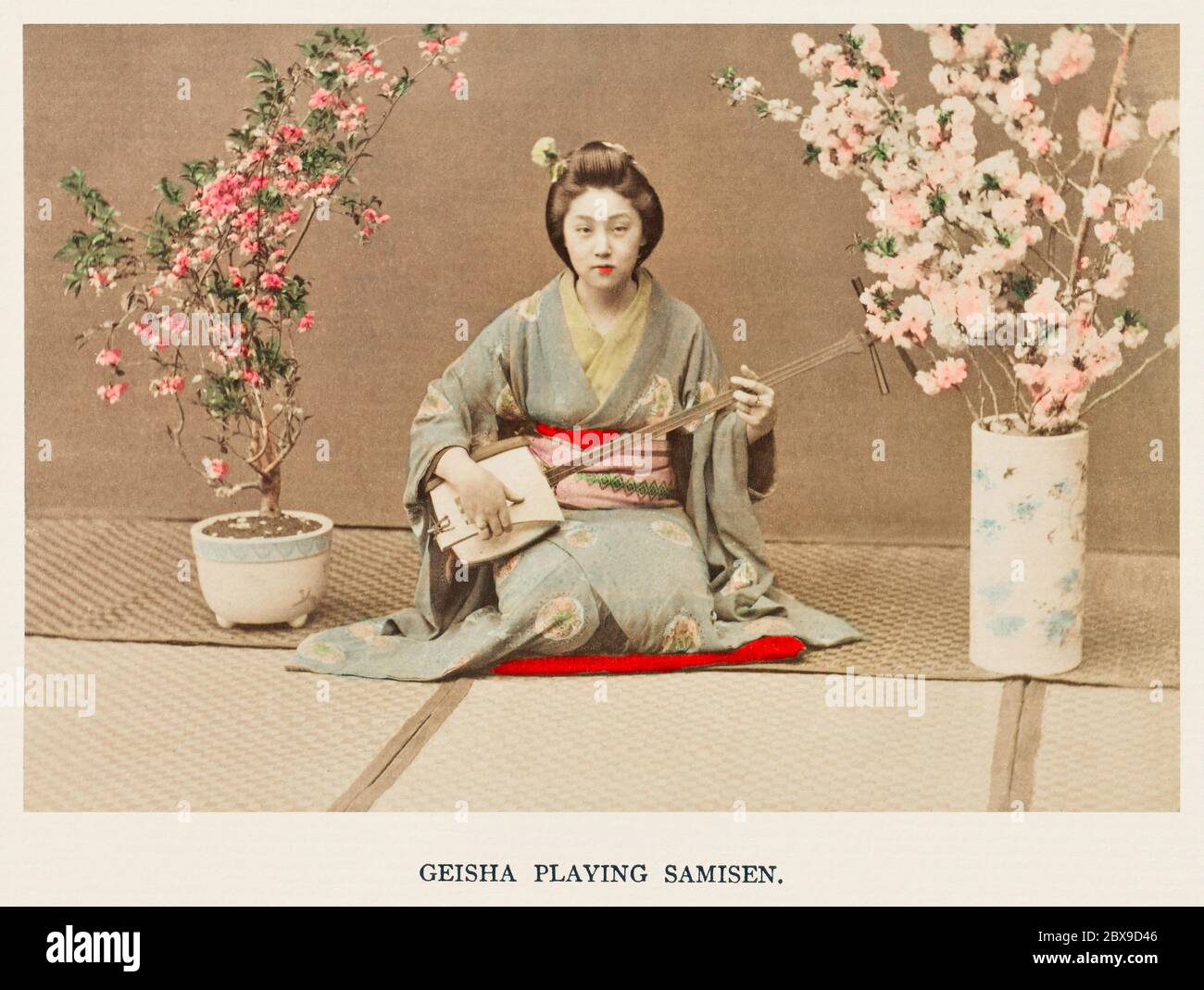 geisha playing samisen japan musical instrument by Ogawa Kazumasa Stock ...
