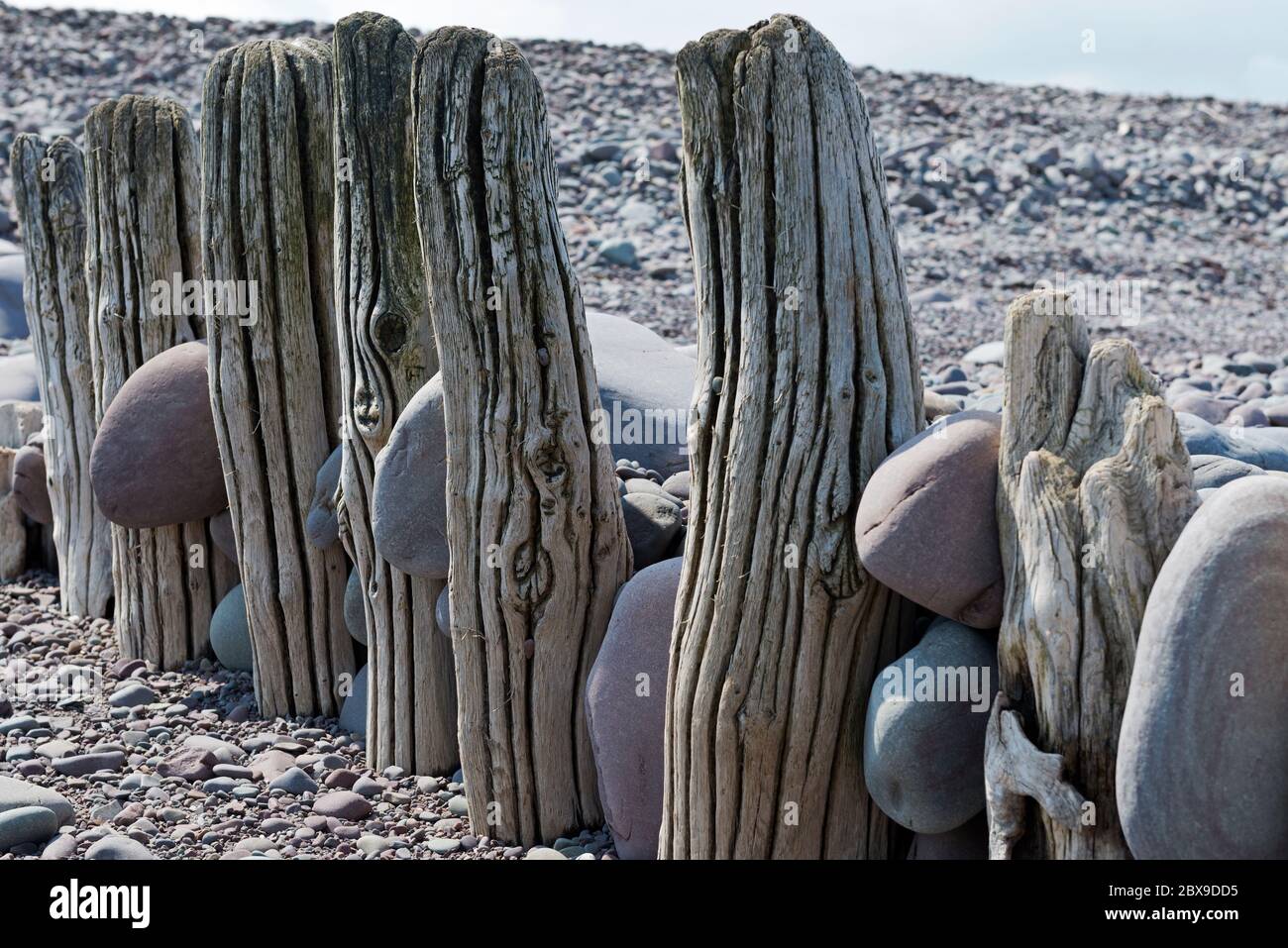 Stone boulders wedged in the wooden groynes on Bossington Beach in ...